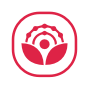 Organic Greens | K-Greens & Reds | Kenko Essentials – Kenko Essentials LLC